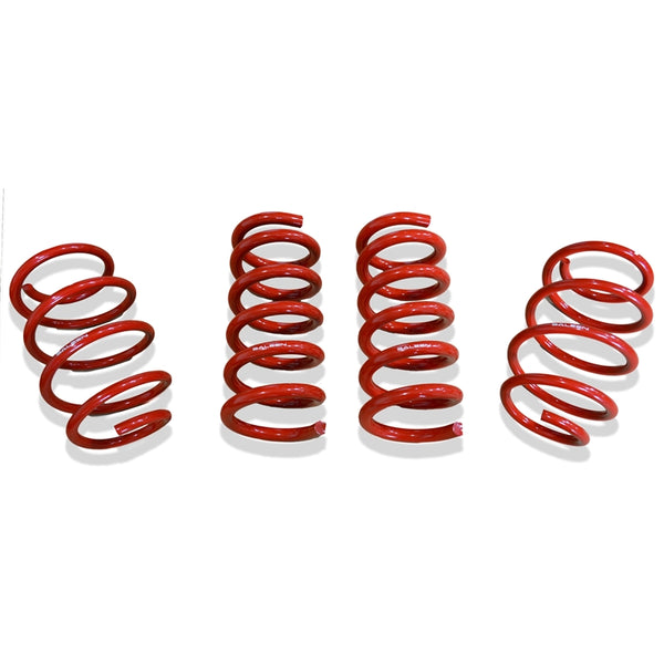 S4 Springs Set 11-14 GT, S302 – Saleen Performance Parts