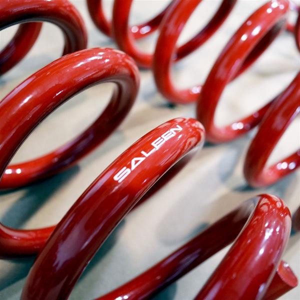 S4 Springs Set 11-14 GT, S302 – Saleen Performance Parts