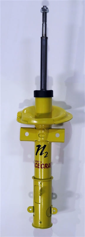 Strut, Front, Racecraft, N2, 05-09 GT – Saleen Performance Parts